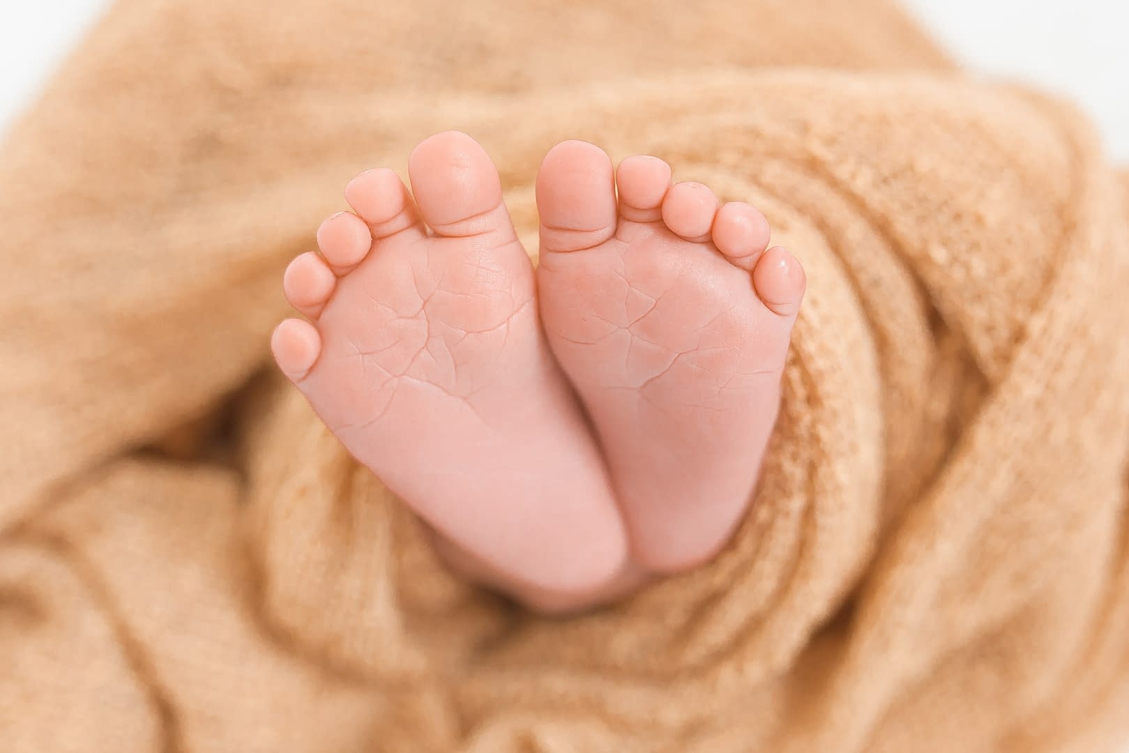 Les programmes - Naissance Magique