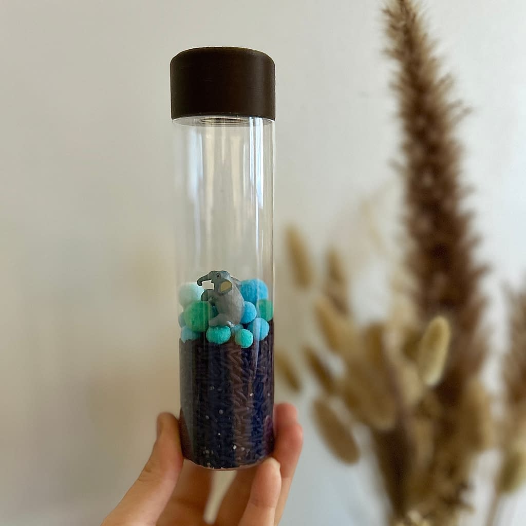 Ma petite malle d'éveil : bouteilles sensorielles françaises